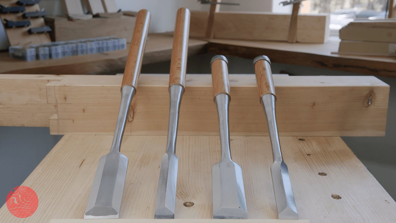 An Introduction to Anaya Nomi and Tsuki Nomi