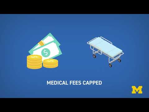 Why does car insurance cost so much in Michigan?
