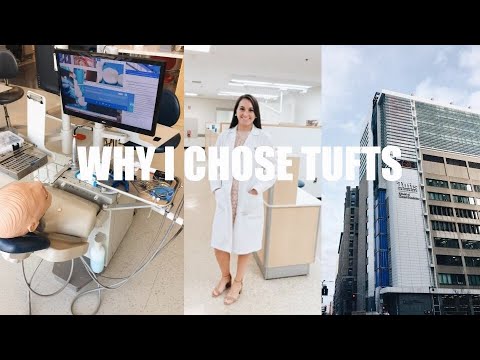 Why I chose Tufts Dental!