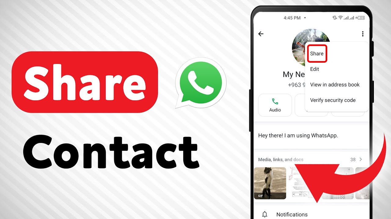 How To Share A contact on WhatsApp (Updated)