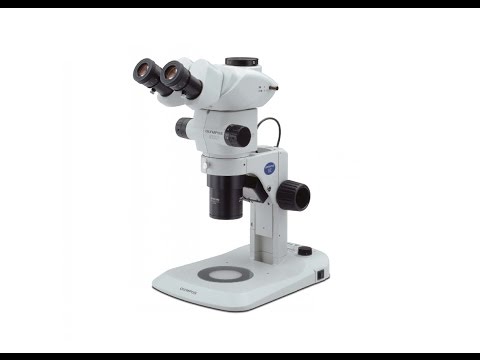 Olympus Laboratory Microscope - Latest Price, Dealers & Retailers in India