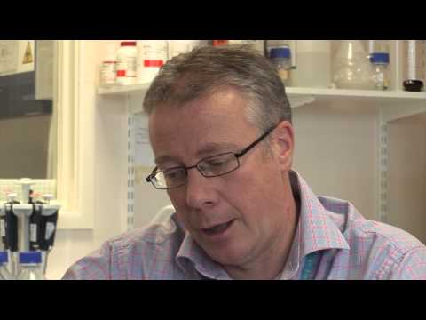 The Gene Therapy Timeline - 1989, Discovering the CFTR Gene