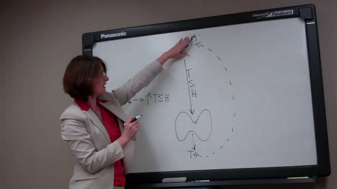 Hypothyroidism in Children