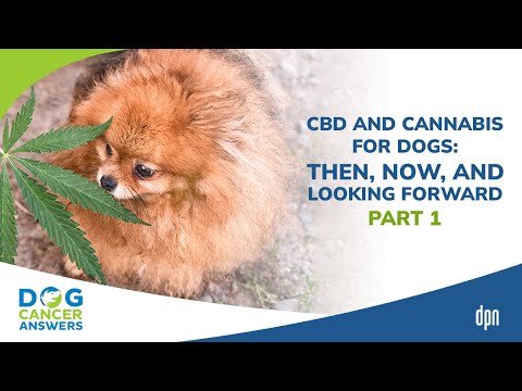 CBD and Cannabis for Dogs: Then, Now, and Looking Forward Part 1 | Dr. Narda Robinson