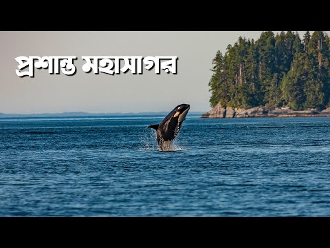 প্রশান্ত মহাসাগর || পৃথিবীর বৃহত্তম মহাসাগর || All About Pacific Ocean in Bangla