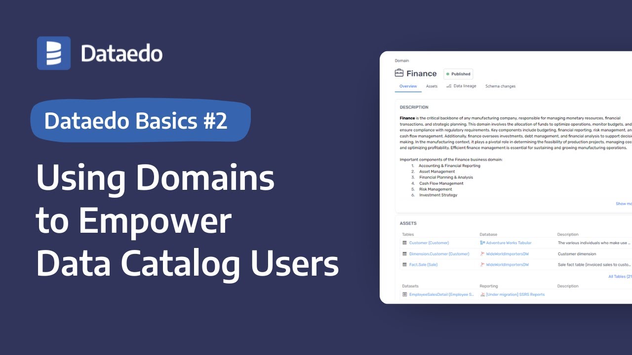 Dataedo Basics #2: Using Domains to Empower Data Catalog Users