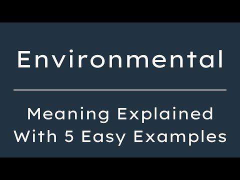 What Does Environmental Mean? Environmental Meaning in English With 5 Example Sentences