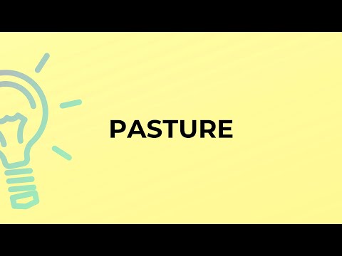 What is the meaning of the word PASTURE?