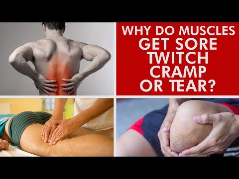 Why Do Muscles Get Sore, Twitch, Cramp or Tear?