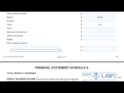 Form CJD301A Financial Statement Schedule A
