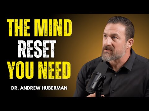 Train Your Brain for Creativity: Dr. Andrew Huberman Reveals the Science of Innovation