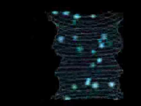 Russian DNA Discoveries | Of Our Own Design