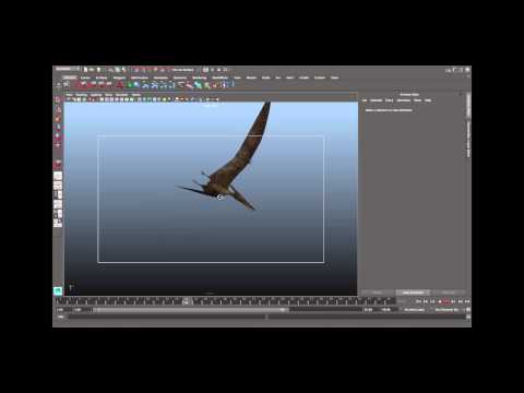 Flying Cycle | My Portfolio