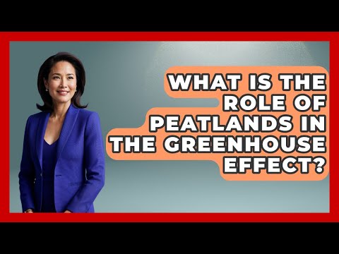 What Is The Role Of Peatlands In The Greenhouse Effect? - Profiles in Politics