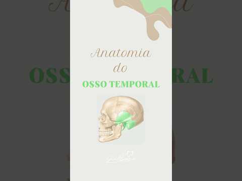 Anatomia do osso temporal #anatomy #anatomia #anatomiapratica #anatomiahumana #odonto #odontologia