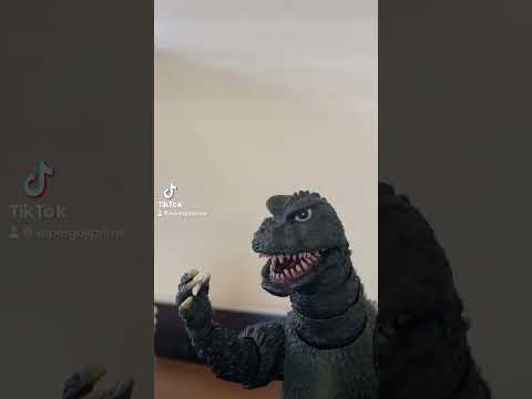 What did you say? #figures #godzillafigures #monsterversegodzilla #godzillatoys #bandai