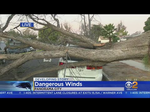 Strong Winds Cause Damage In Southern California