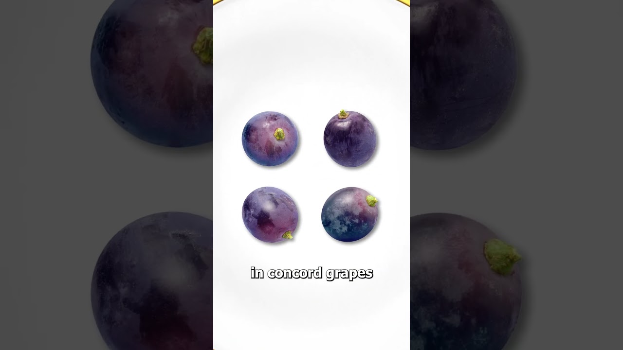Why Grape-Flavored Things Don't Taste Like Grapes 🤨