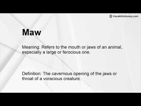 Maw Meaning
