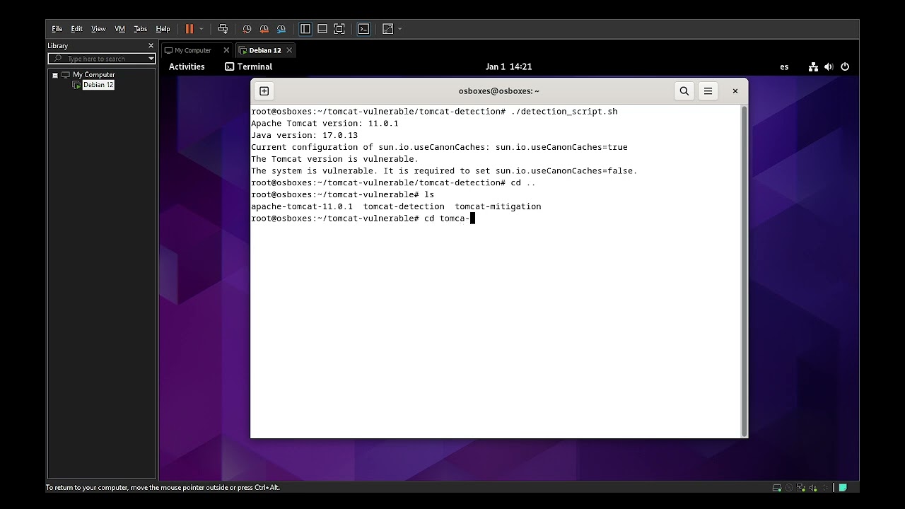 CVE-2024-56337: Detect vulnerable Apache Tomcat - vsociety