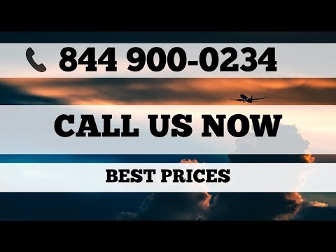 give me the phone number for cheapest flight tickets | Exclusive Prices for American Airlines and