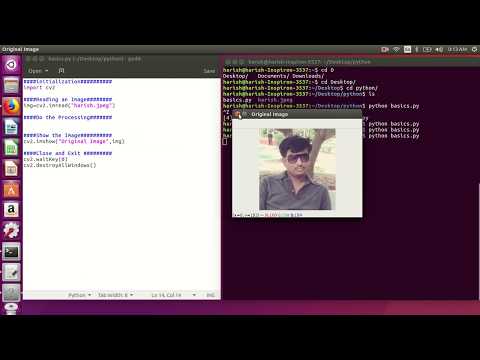 How to read and display image using cv2