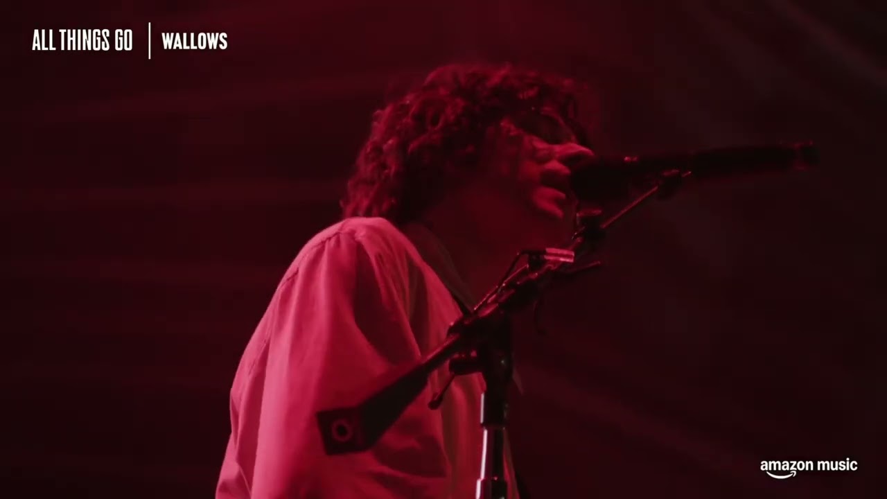 Wallows - These Days | Live at All Things Go