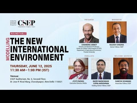 Modelling the New International Environment | Expert Roundtable with Dr. Channing Arndt & Panel