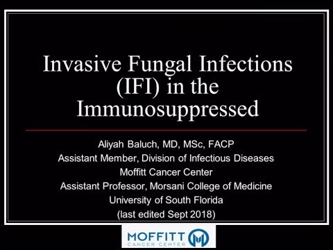 Invasive Fungal Infections in the Immunosuppressed -- Aliyah Baluch, MD