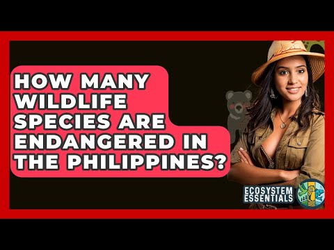 How Many Wildlife Species Are Endangered In The Philippines? - Ecosystem Essentials