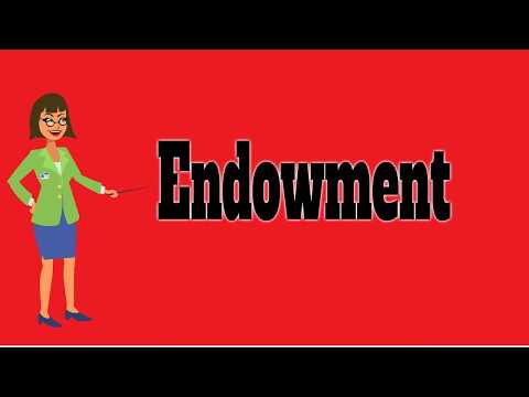 Endowment | Pronunciation | Meanings | Synonyms | Examples | Definition