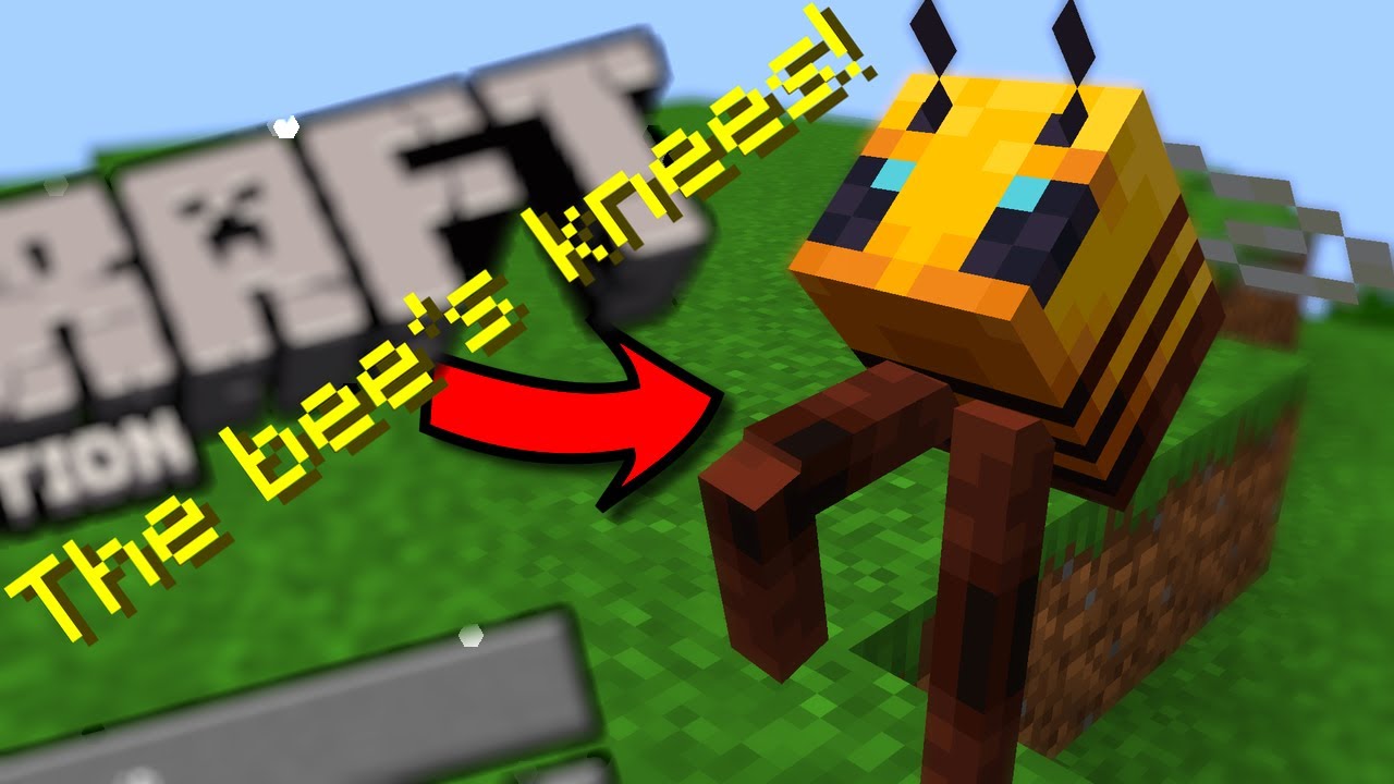 I Coded Minecraft Splash Texts