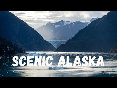Relaxing Scenic Cruise to Tracy Arm Fjord Alaska
