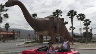 Finding Dinosaurs in the Desert