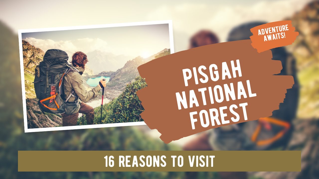 Pisgah National Forest/16 Reasons to Visit/Beginner's Guide