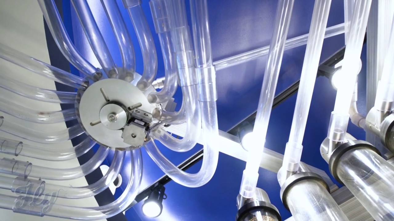 Javabot at Roasting Plant Coffee