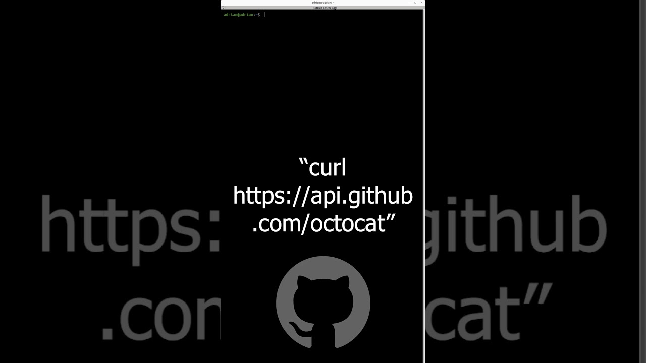 GitHub's Octocat Easter Egg! #github #coding #easteregg