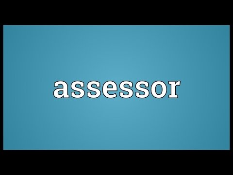 Assessor Meaning