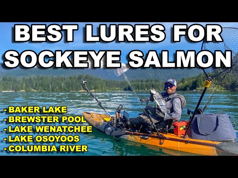 Best Lures for Sockeye Salmon (Trolling)
