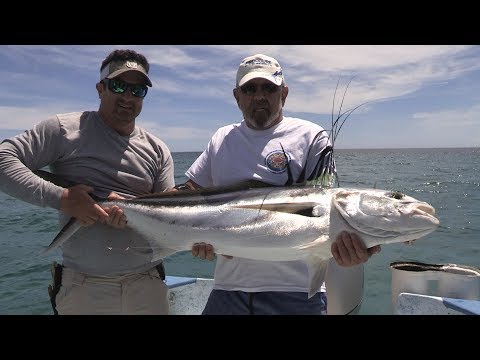 Baja Wahoo, Tuna, Amberjack & Roosterfish Fishing