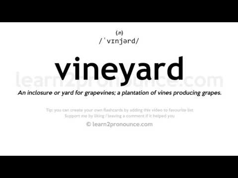 Vineyard pronunciation and definition