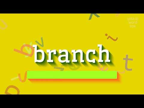 BRANCH - HOW TO PRONOUNCE IT? #branch