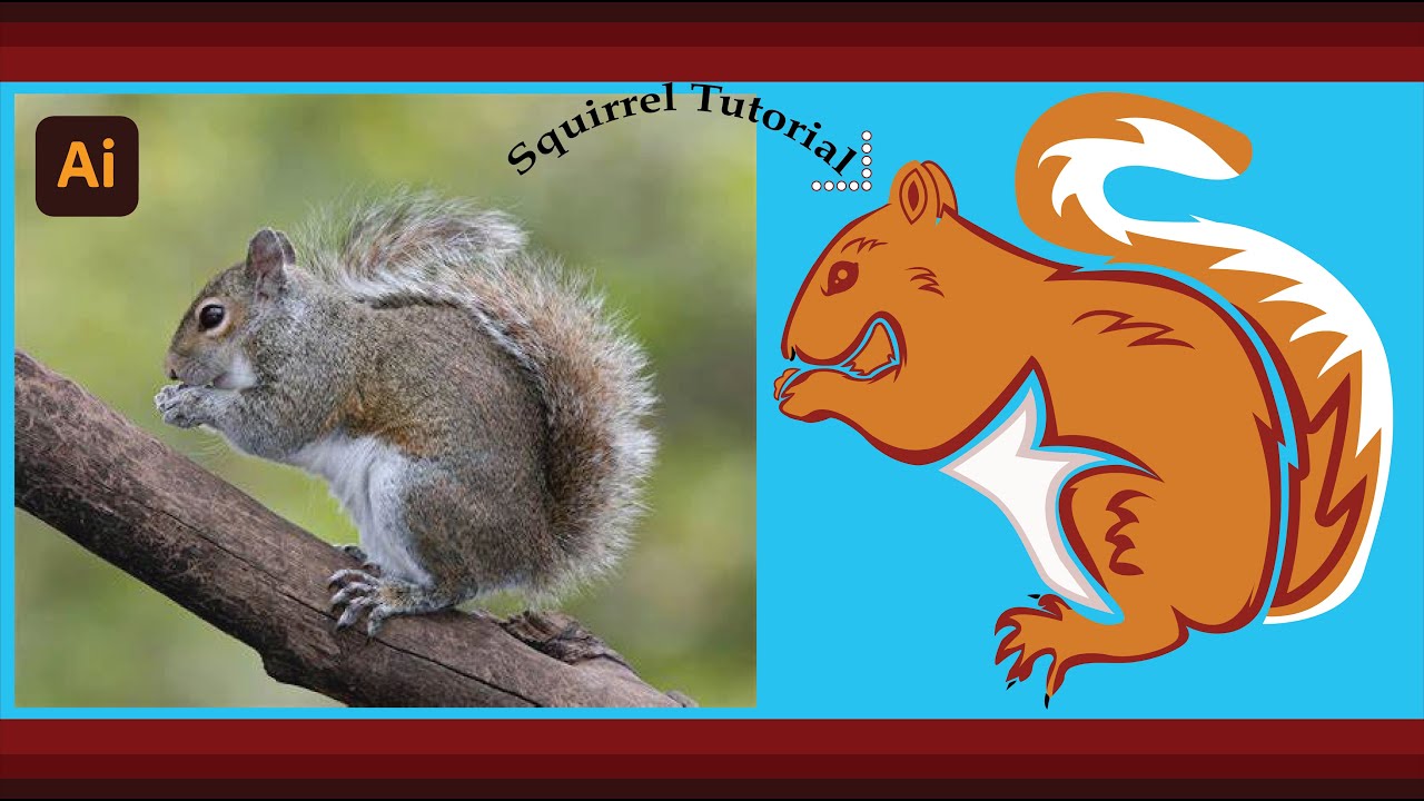 Squirrel Vector design | Adobe Illustrator Tutorial | Kamrul Graphics
