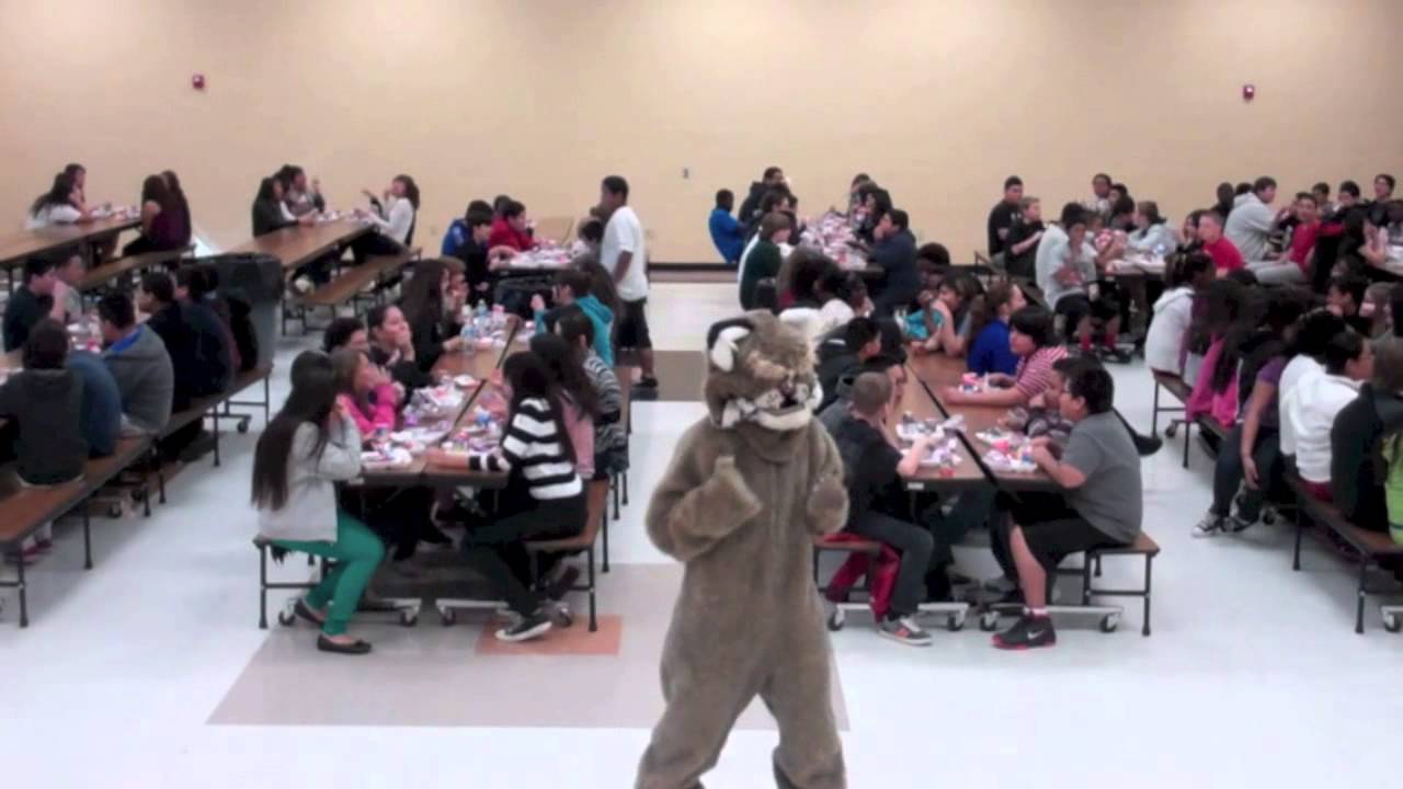 Harlem Shake - Sunset Vista Elementary