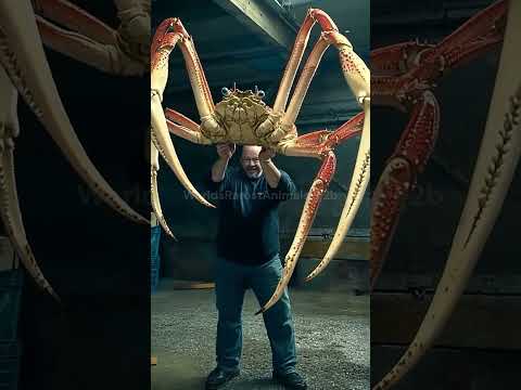 Top 5 Horrifying Creatures That Will Give You Nightmares