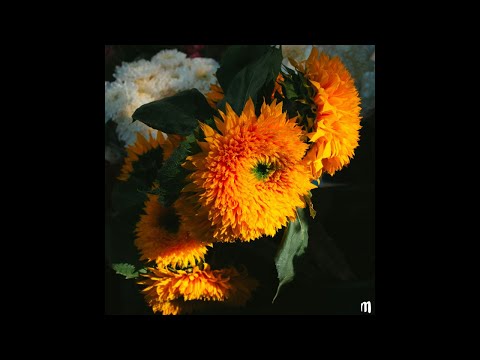 (FREE) Acoustic Guitar Type Beat " I Saw You " | Indie Folk Guitar Type Beat