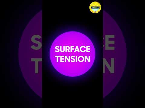What is Surface tension | ✅ Experiment Success✅