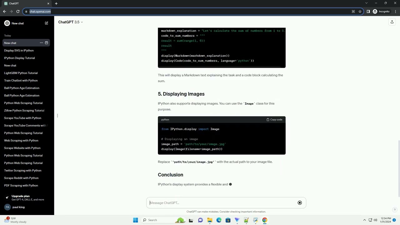 ipython display text