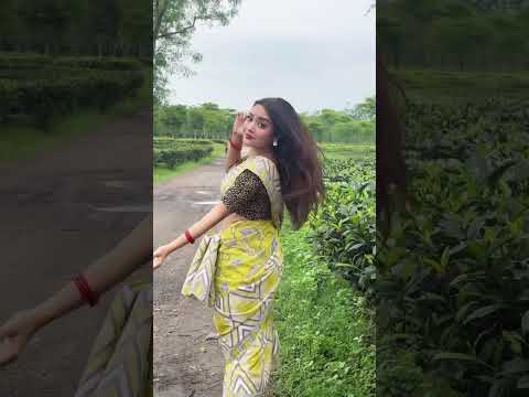 Assam tea ☕ garden 🏡🏞️🏞️🏞️