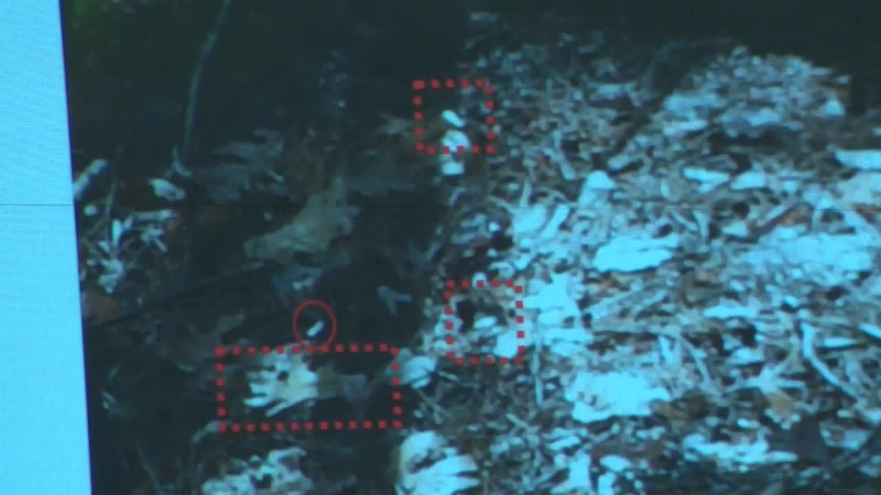 Logan Clegg murder trial video: Owner of forensic image analysis lab testifies (Part 2)